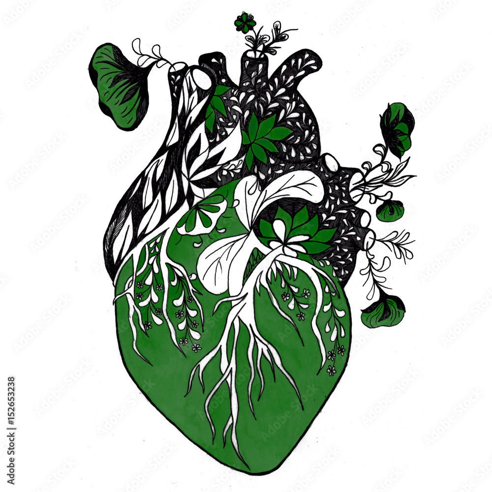 Blooming anatomical human heart. Ink hand drawn illustration of heart ...