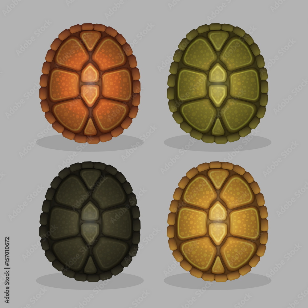 Ocean sea turtle shells Stock Vector | Adobe Stock