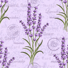 Vintage Lavender Flowers Postcard Free Stock Photo - Public Domain Pictures