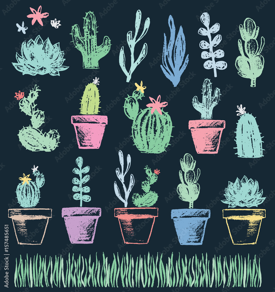 Succulent and Cactus Chalk Drawing Vector Set Stock Vector | Adobe Stock