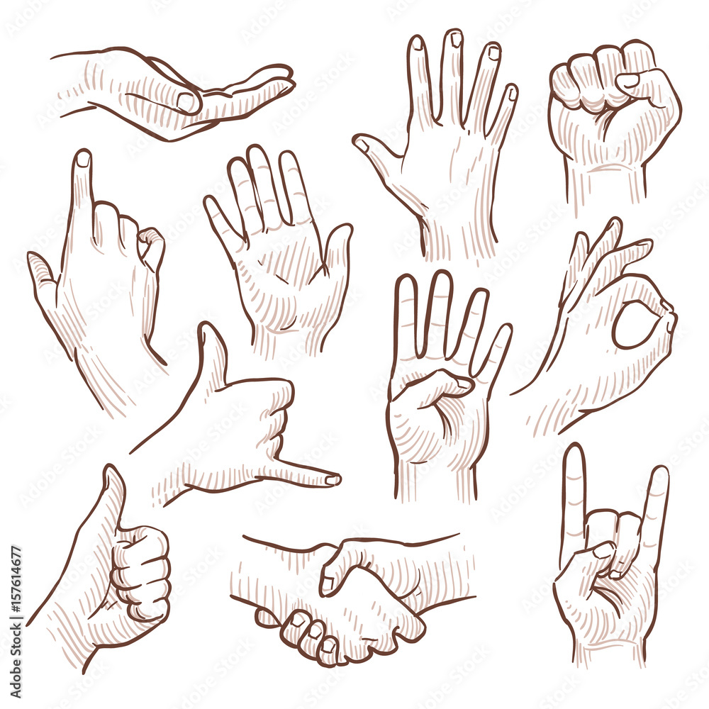 Line drawing doodle hands showing common signs vector collection Stock ...