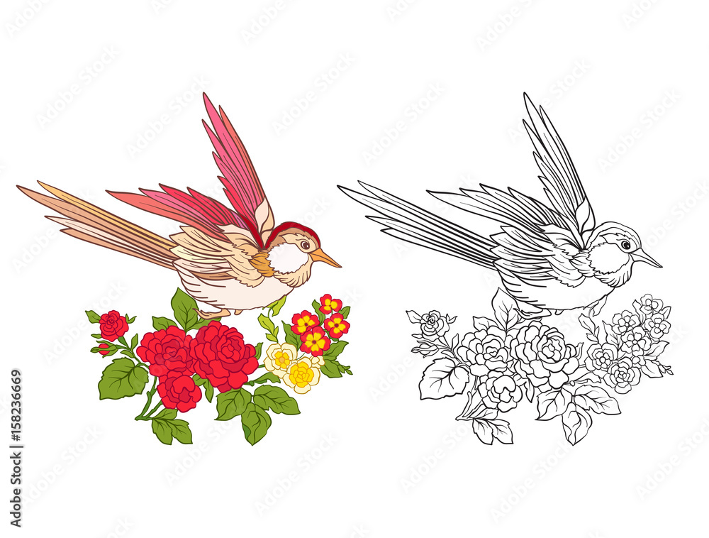 Flowers and swallow. Set of colored sample and outline drawing. Outline ...