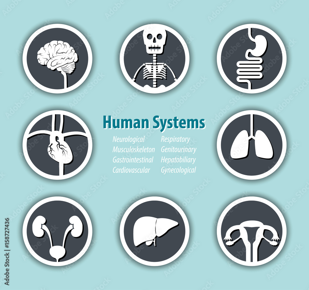 Stock-Vektorgrafik „Human Systems Icon . ( Neurological ...