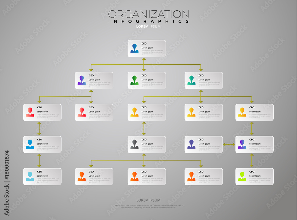 Organization Chart Infographic Stock Vector | Adobe Stock