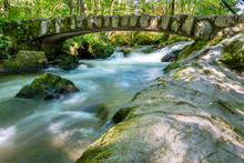 Rock Bridge And Fallen Tree In Fall Free Stock Photo - Public Domain ...