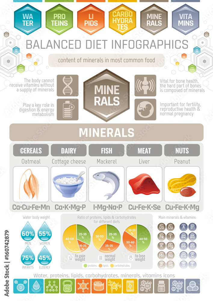 Minerals diet infographic diagram poster. Water protein lipid ...