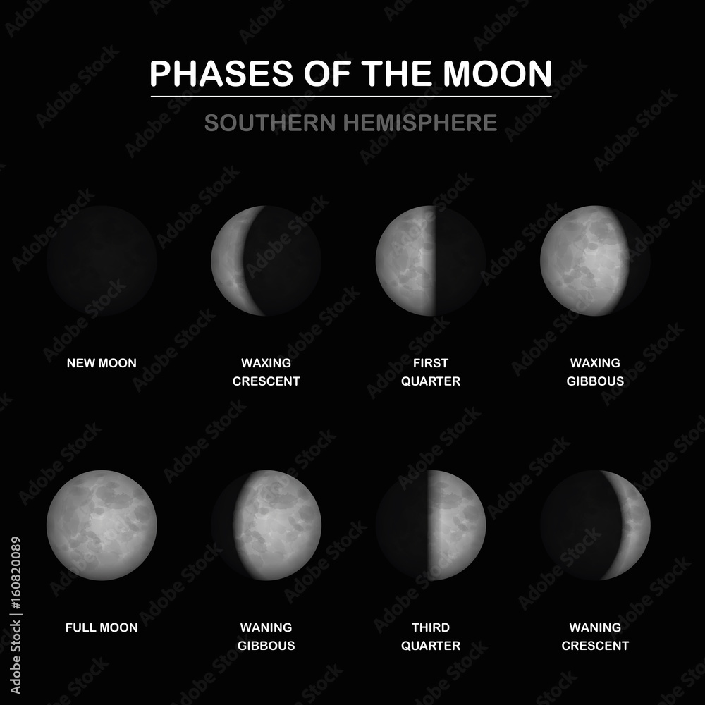 Stockvector Moon phases chart, shapes of illuminated portions by an ...