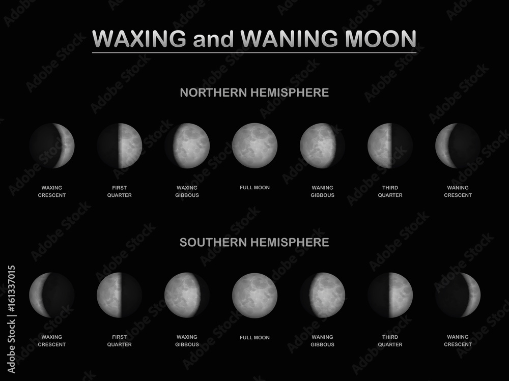 Стоковое векторное изображение «Moon phases - as seen from the northern ...