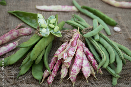 verschiedene Bohnensorten Stock-Foto | Adobe Stock