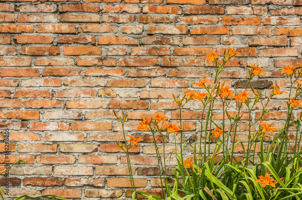 Vintage red brick wall background with flowers Stock Photo | Adobe Stock
