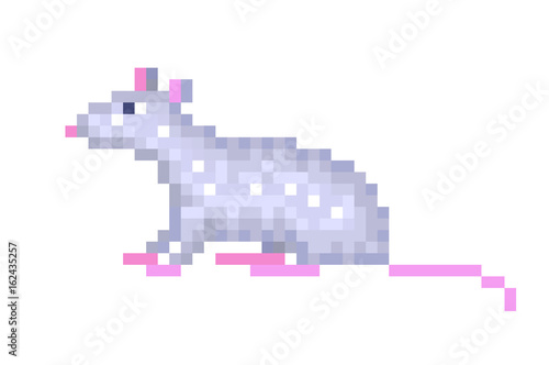Old school 8 bit pixel art gray rat sitting on the ground isolated on ...