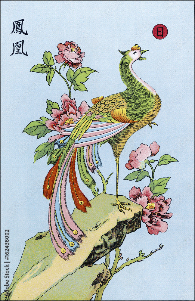 Phoenix (Chinese) Stock Photo | Adobe Stock