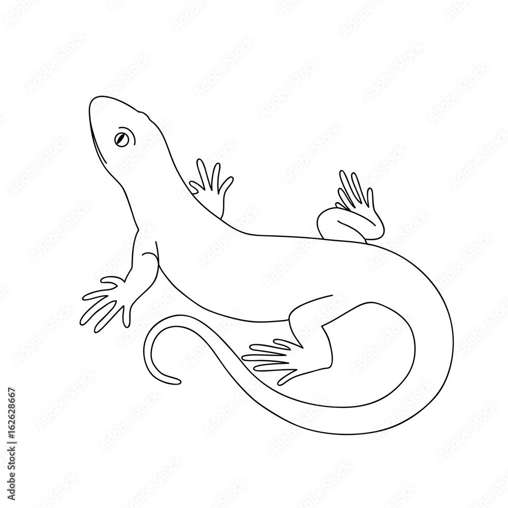 Isolated black outline monochrome lizard on white background. Curve ...