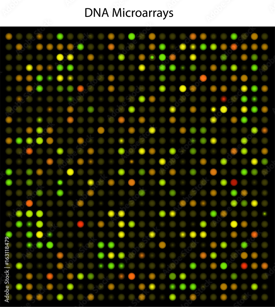 DNA microarrays, used, for example, in cancer research. Stock ...