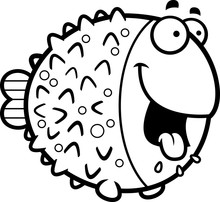 Smiling Blowfish Free Stock Photo - Public Domain Pictures