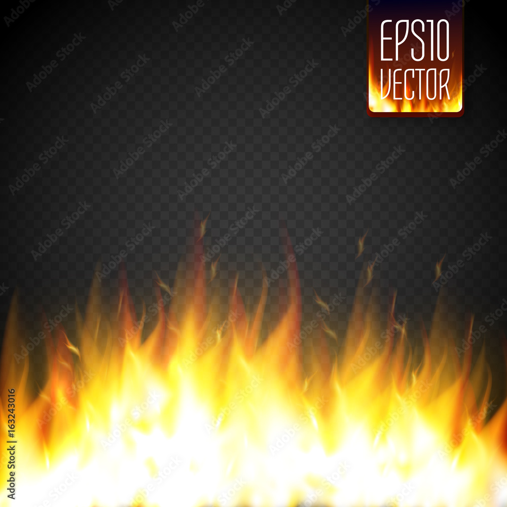 Realistic fire flame vector special effect isolated on transparent ...
