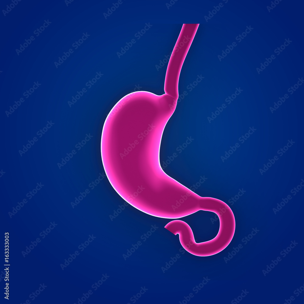Stomach zoom with body lateral view Stock Illustration | Adobe Stock