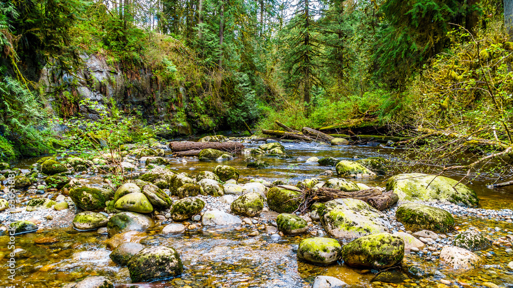 Rocks, trees and boulders in the Salmon habitat of the fast flowing ...