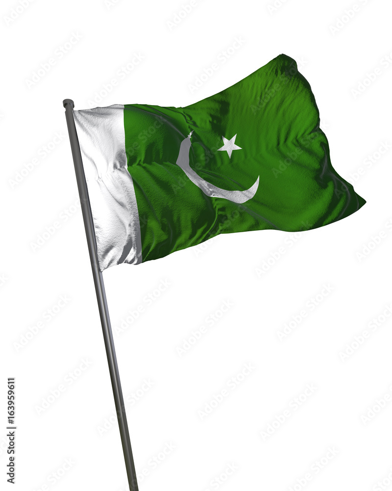 Pakistan Flag Waving Isolated on White Background Portrait Stock ...
