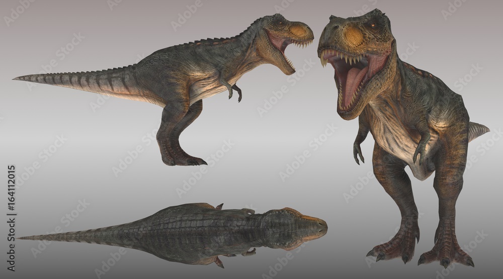 tyrannosaurus rex 3 different view 3d illustration Stock Illustration ...