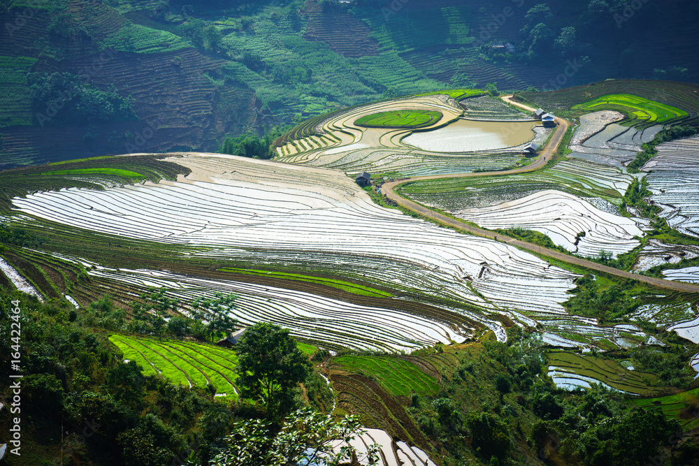 Terraced rice field in water season, the time before starting grow rice ...