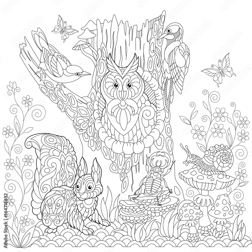 Coloring book page of forest landscape, owl, cuckoo bird, woodpecker ...