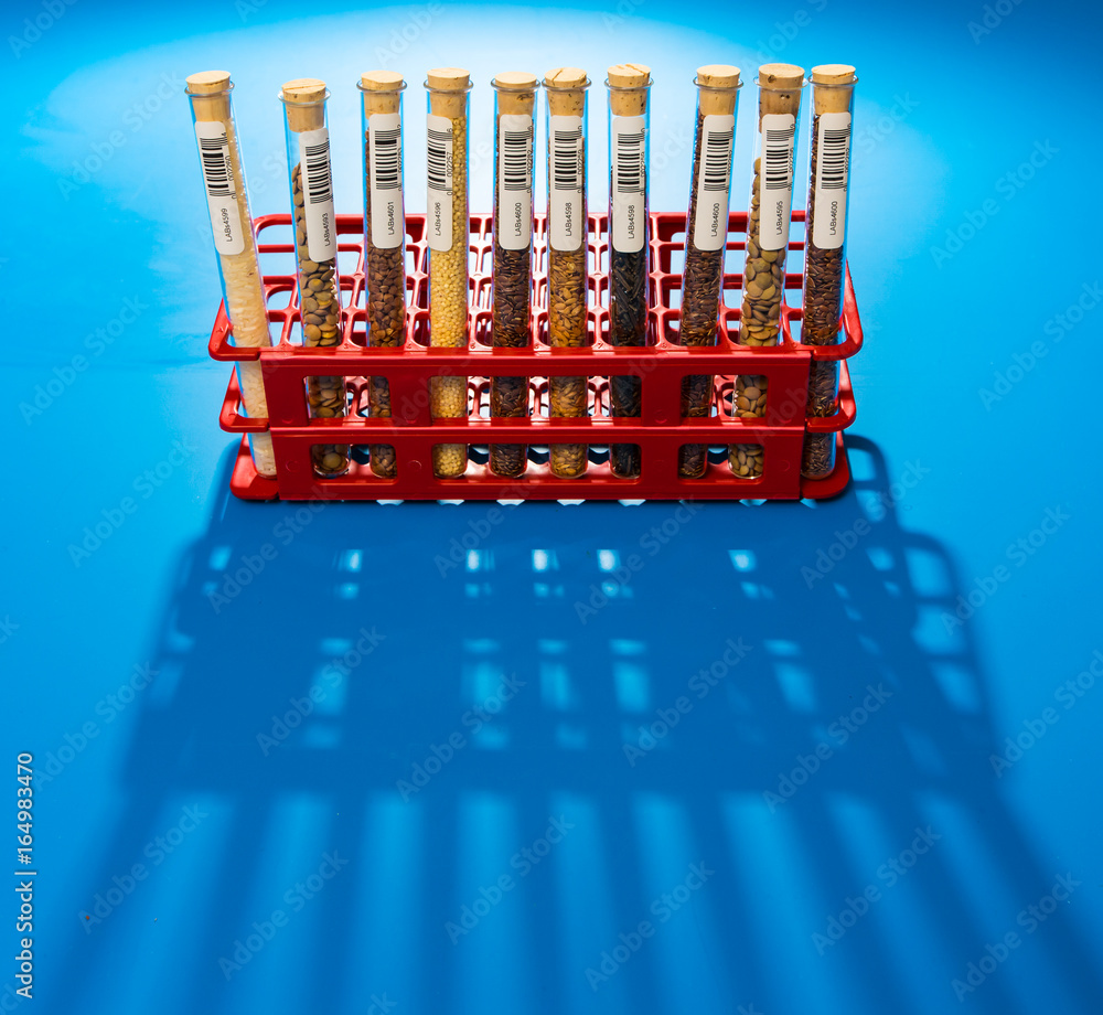 Test tubes with bar codes with seeds of selection plants Stock Photo ...