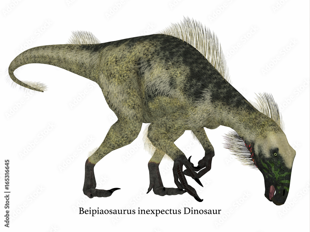 Beipiaosaurus Dinosaur Side Profile with Font - Beipiaosaurus was a ...