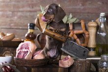 Dog Meat Free Stock Photo - Public Domain Pictures