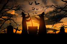 Halloween Witches Free Stock Photo - Public Domain Pictures