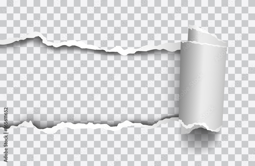 Vector realistic torn paper with rollled edge on transparent background Stock Vector | Adobe Stock