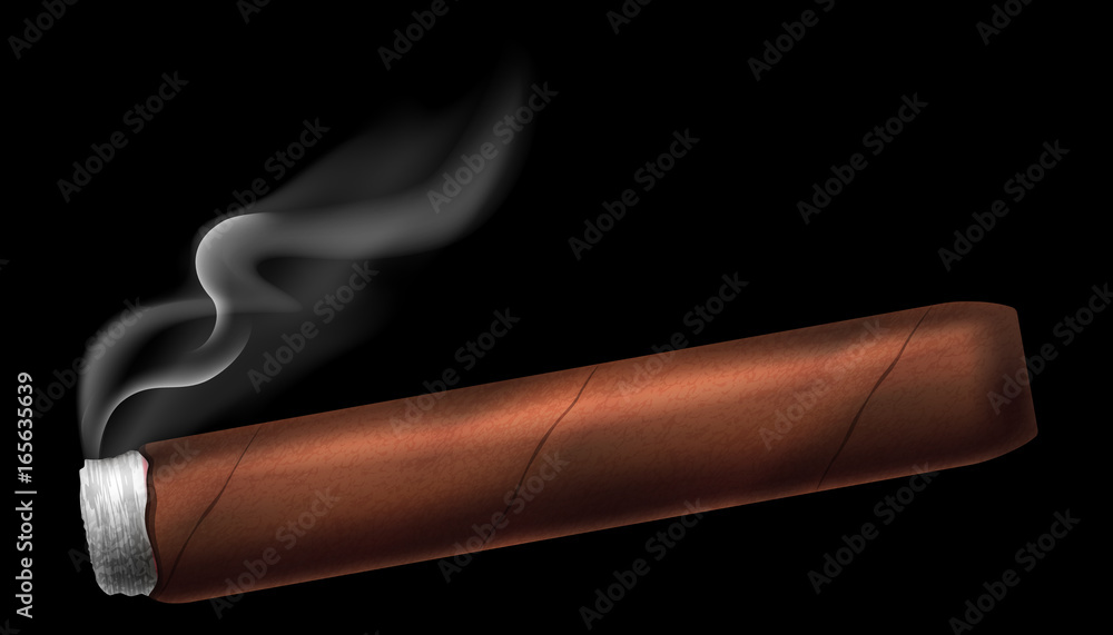 Cigar. Vector illustration. Stock Vector | Adobe Stock