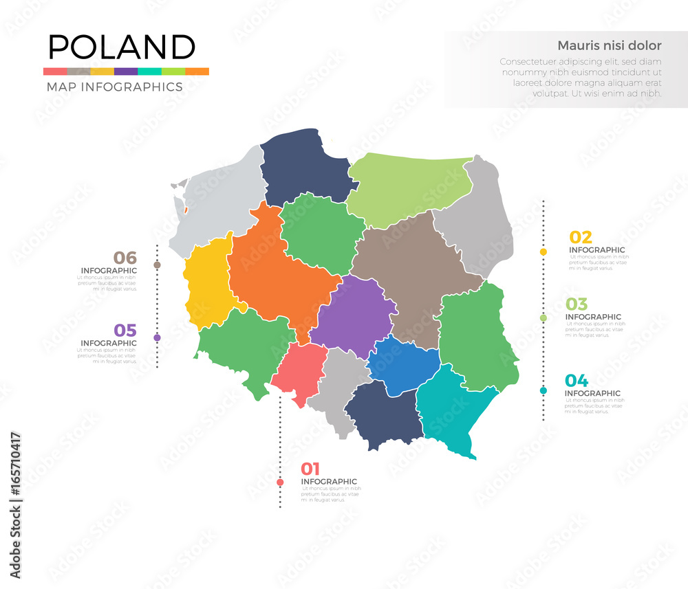 Poland country map infographic colored vector template with regions and ...