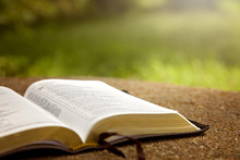 Open Bible Free Stock Photo - Public Domain Pictures