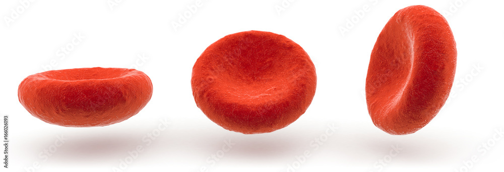 three red blood cells on white background Stock Illustration | Adobe Stock