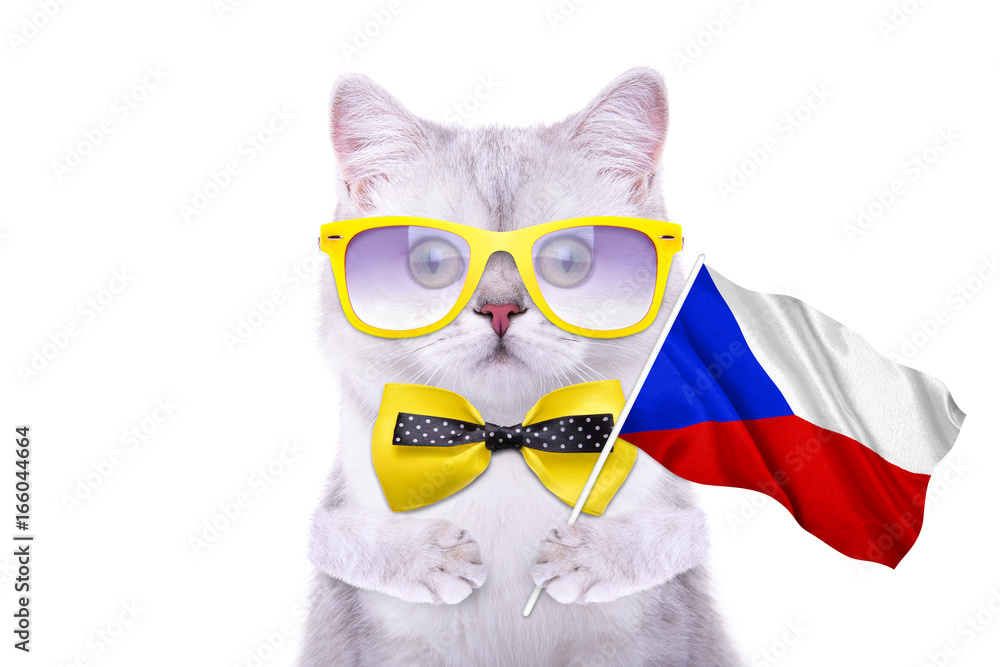 Beautiful British cat with the flag. Language School. Flags of the ...