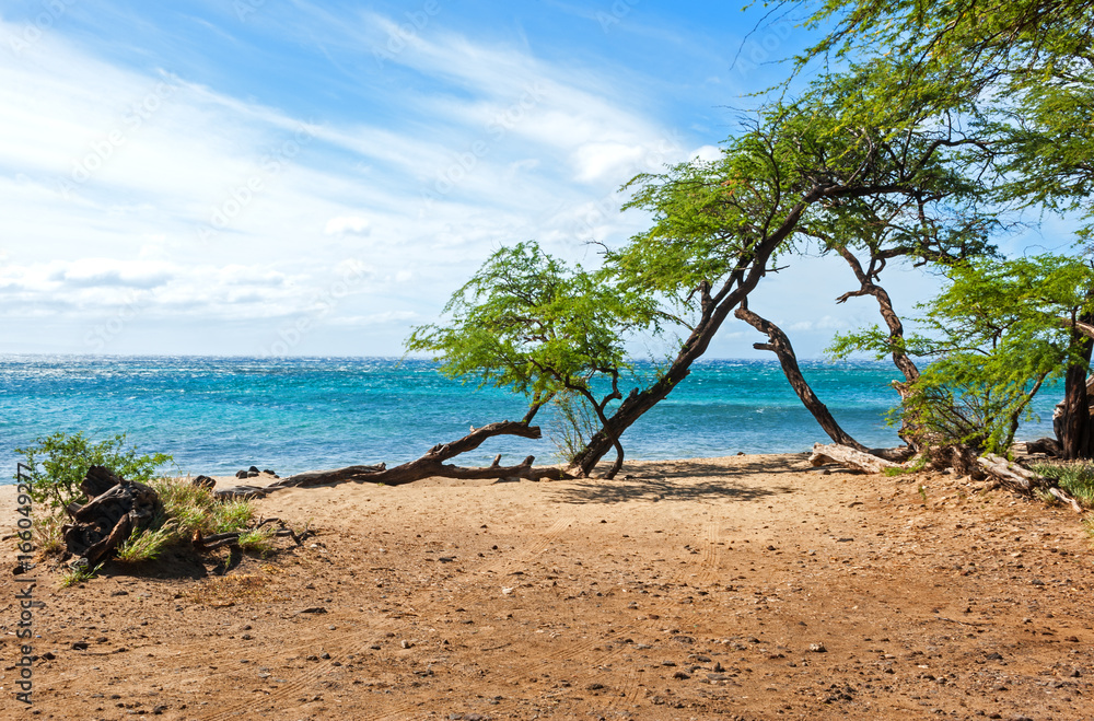 Makena State Park beach, Maui island, Hawaii Stock Photo | Adobe Stock