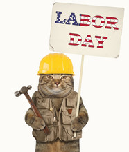 Labor Day Cat Poster Free Stock Photo - Public Domain Pictures