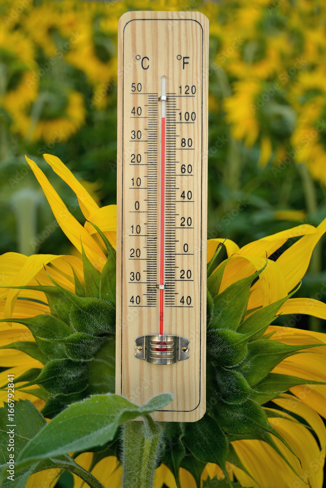 Mercury wooden thermometer shows very high temperature. Temperatures in ...