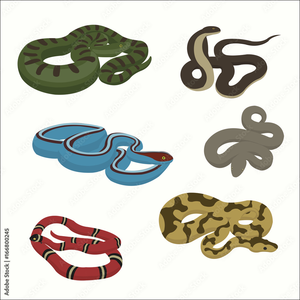 venomous snake vector cartoon set Stock Vector | Adobe Stock