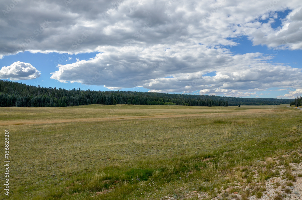 subalpine grasslands and forests on Kaibab plateau North Rim, Grand ...