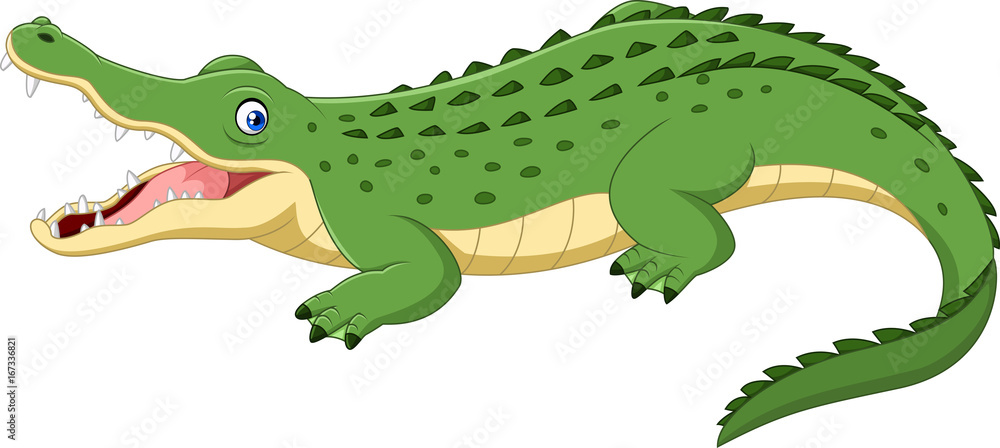 Cartoon crocodile isolated on white background Stock Vector | Adobe Stock