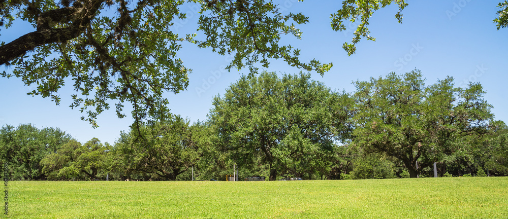 Green city park in midtown area of Houston at daytime during spring ...