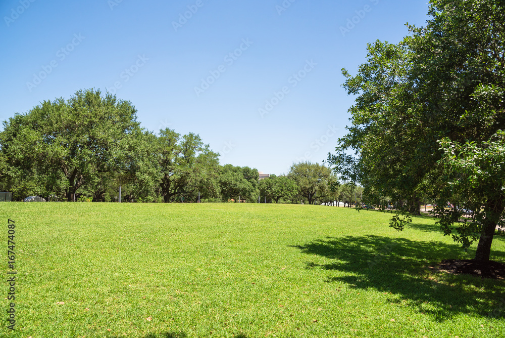 Green city park in midtown area of Houston at daytime during spring ...