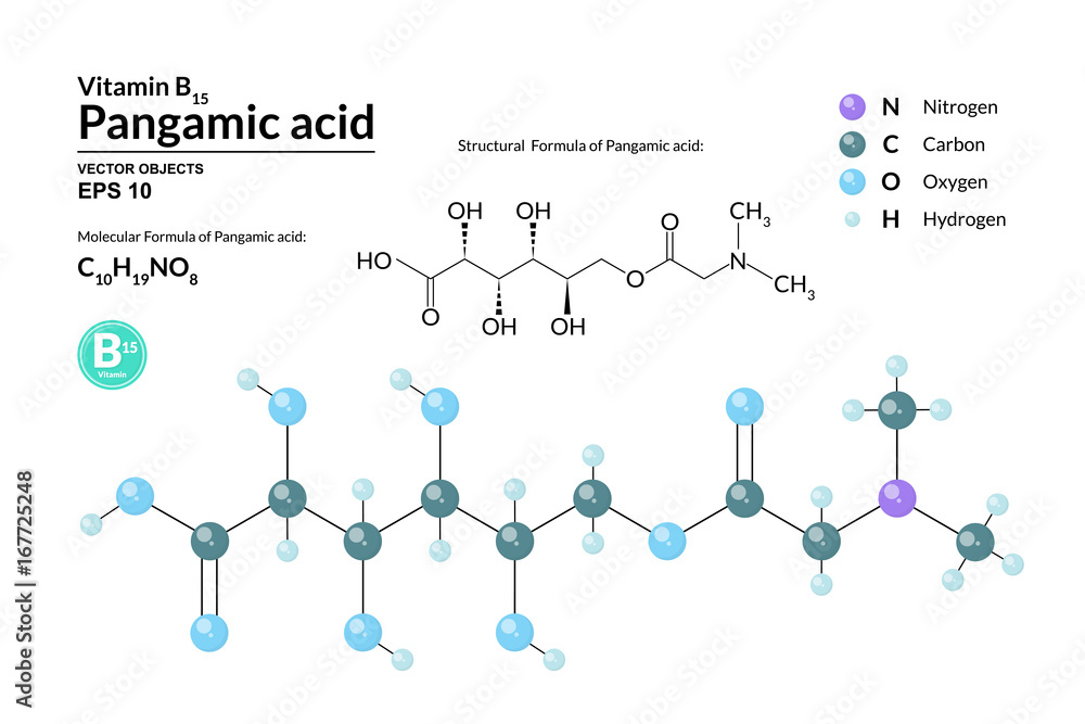 Structural chemical molecular formula and model of Pangamic acid. Atoms ...