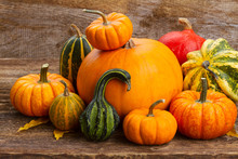 Fall Harvest Display Free Stock Photo - Public Domain Pictures
