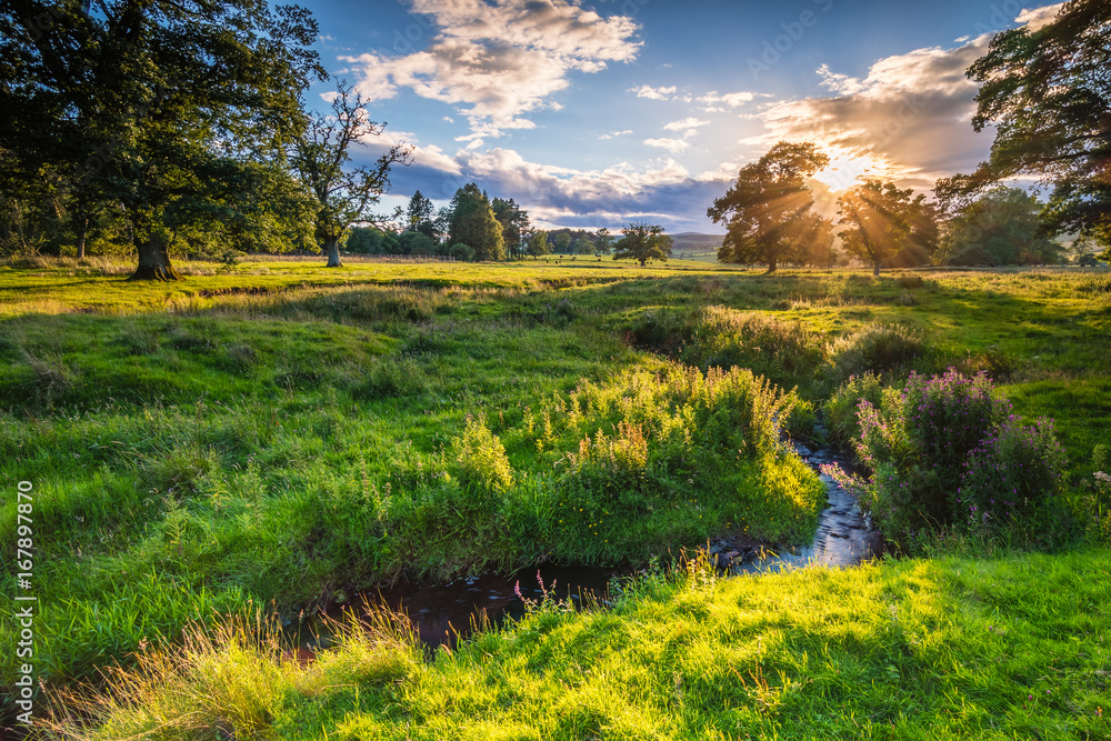 River Aln under Golden Light / The River Aln runs through ...