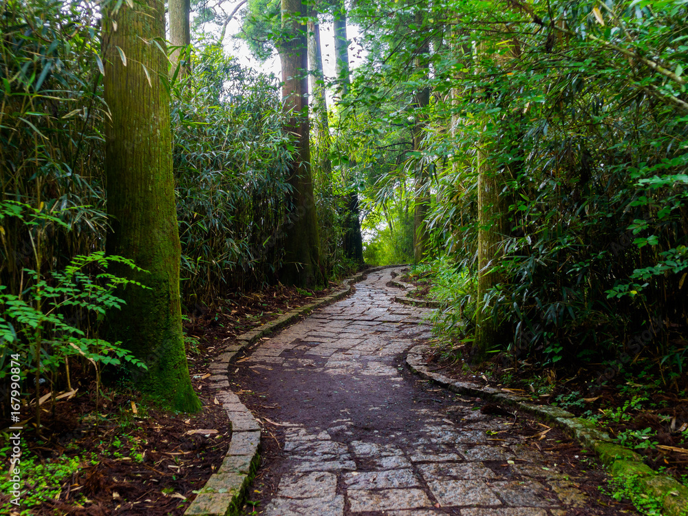 Beautiful stoned path inside of the forest in Hakone park, located in ...