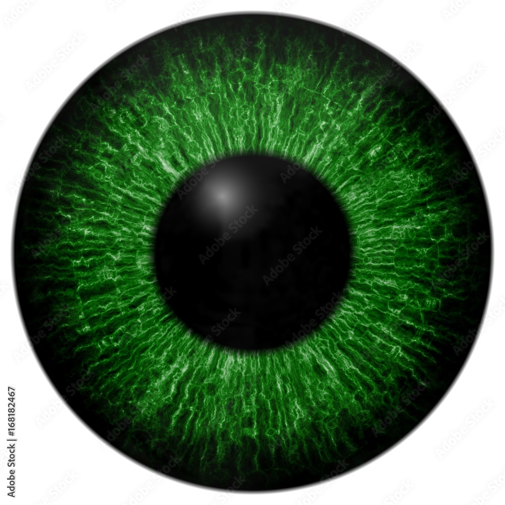 Beautiful scary abstract monster eye texture Stock Photo | Adobe Stock