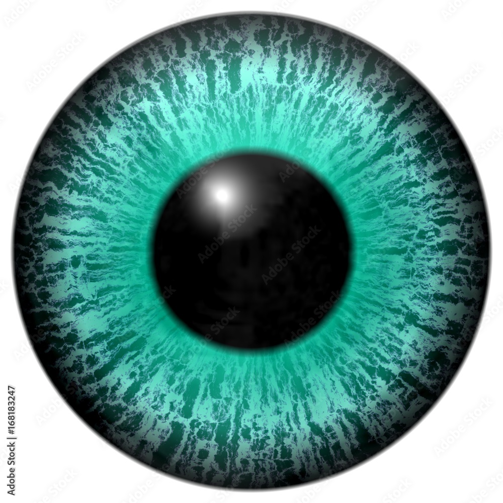 Beautiful scary abstract monster eye texture Stock Photo | Adobe Stock